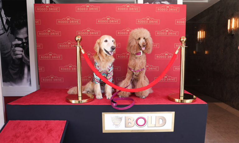 BOLD Summer Begets Excitement on Rodeo Drive - Beverly Hills Courier ...