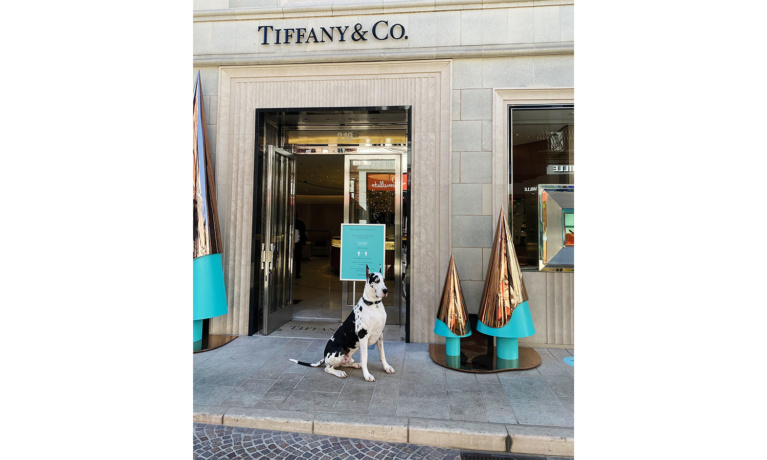 The Celebrity Pooches of Beverly Hills - Beverly Hills Courier ...