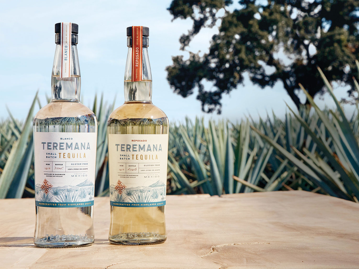 Celebrity Spirits on the Rise - Beverly Hills Courier