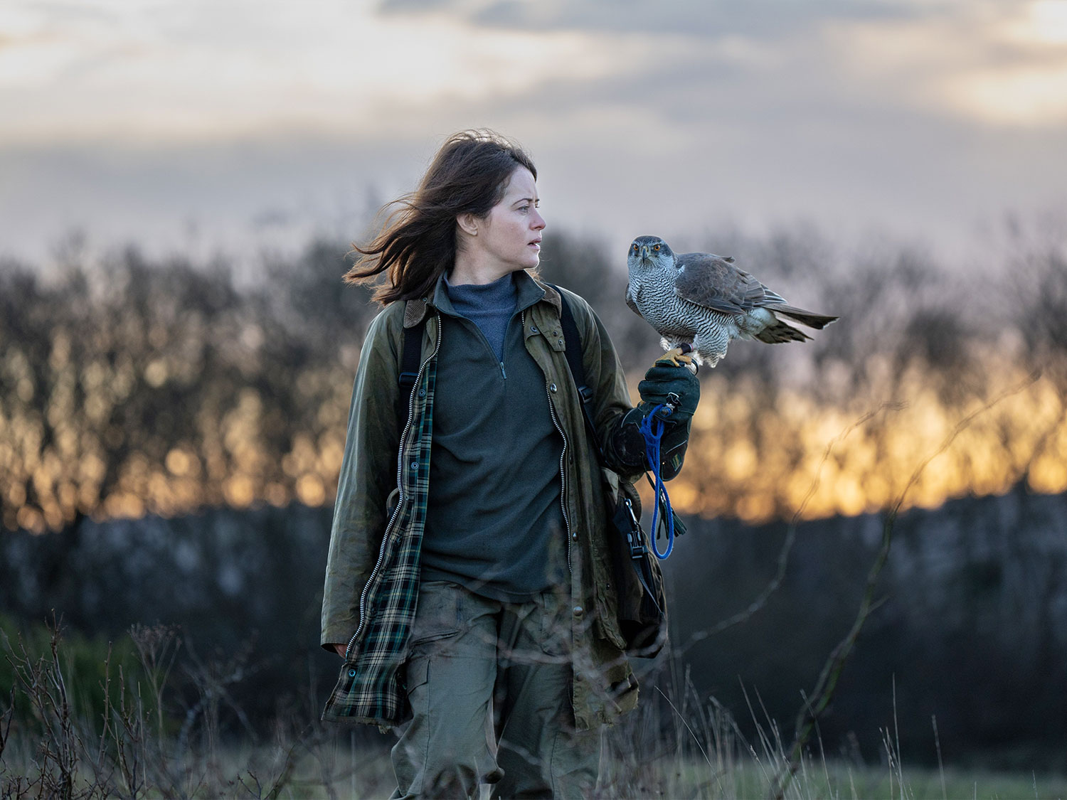 ‘H Is for Hawk’—Flying High - Beverly Hills Courier